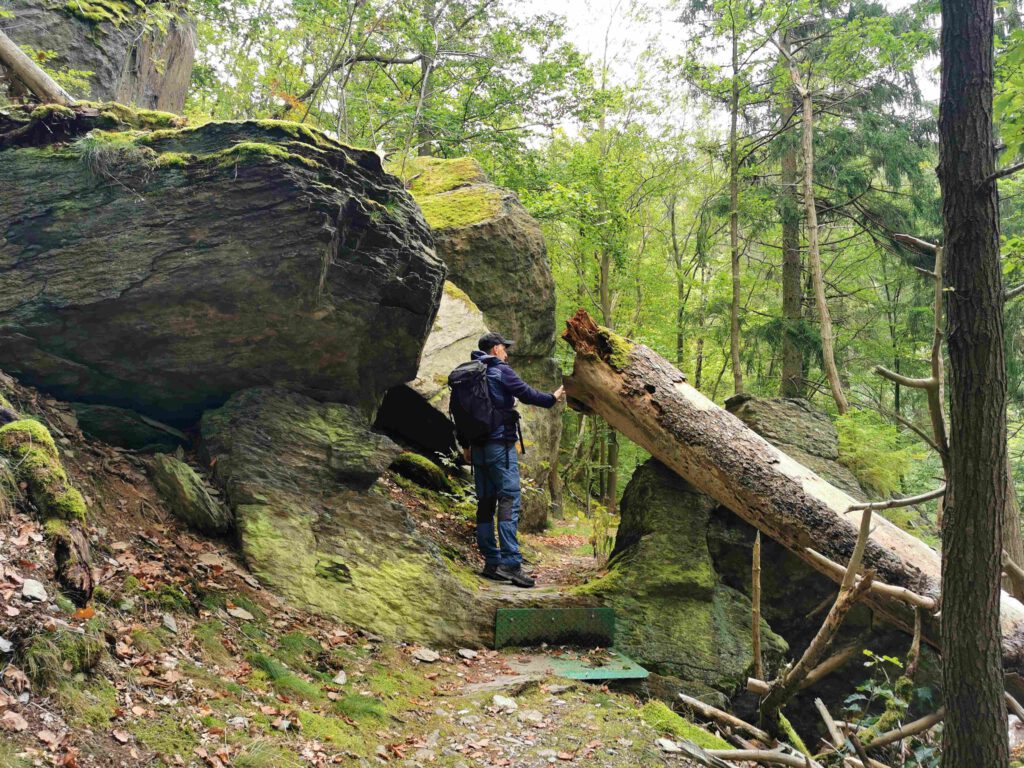 Erkunde mit uns die Romantik der Wanderregion Schwarzatal